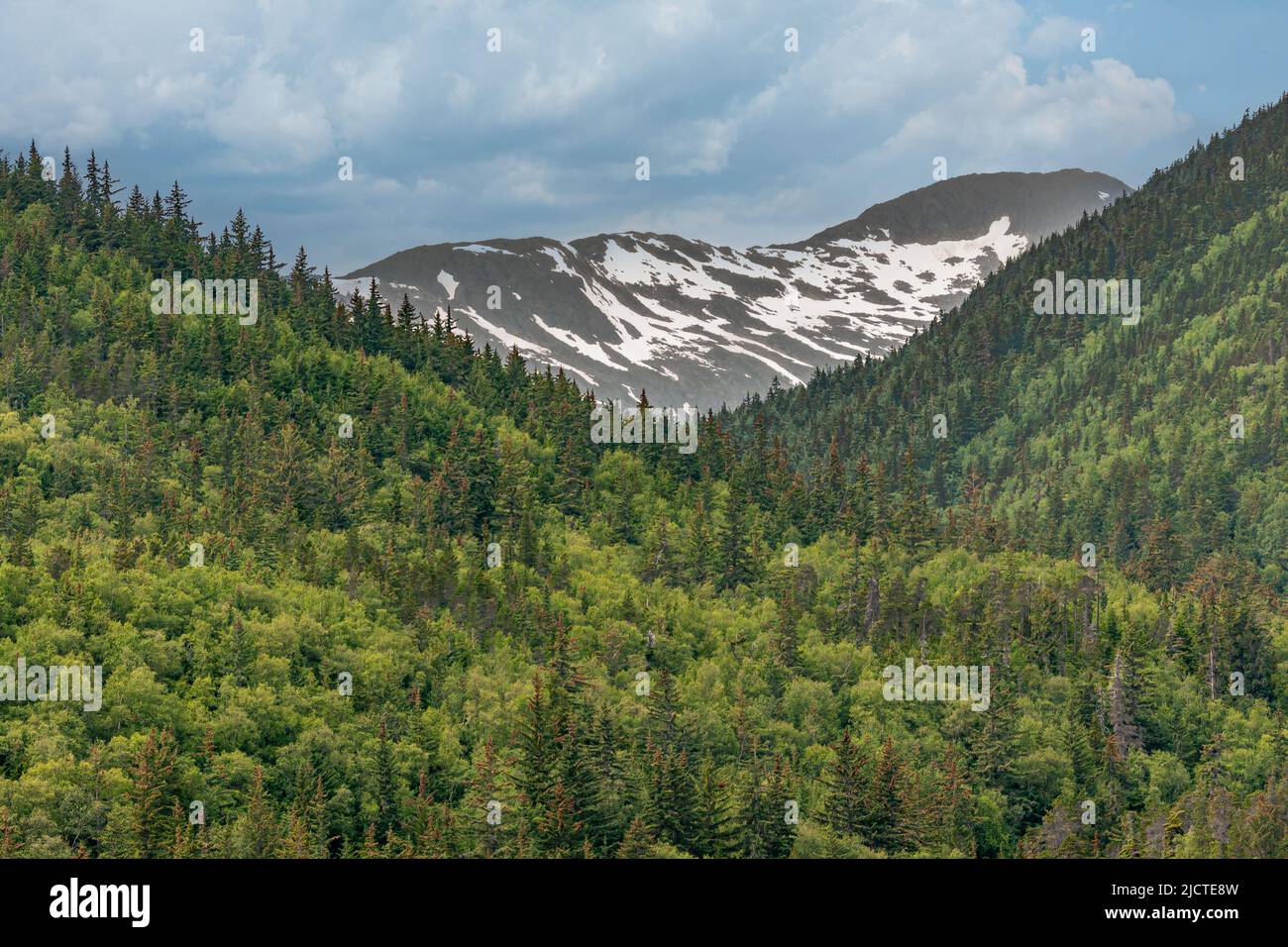 Skagway, Alaska, USA - July 20, 2011: Taiya Inlet above Chilkoot Inlet ...