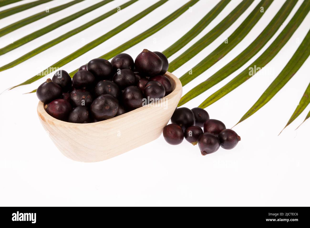 The amazon acai fruit (Euterpe oleracea Stock Photo - Alamy