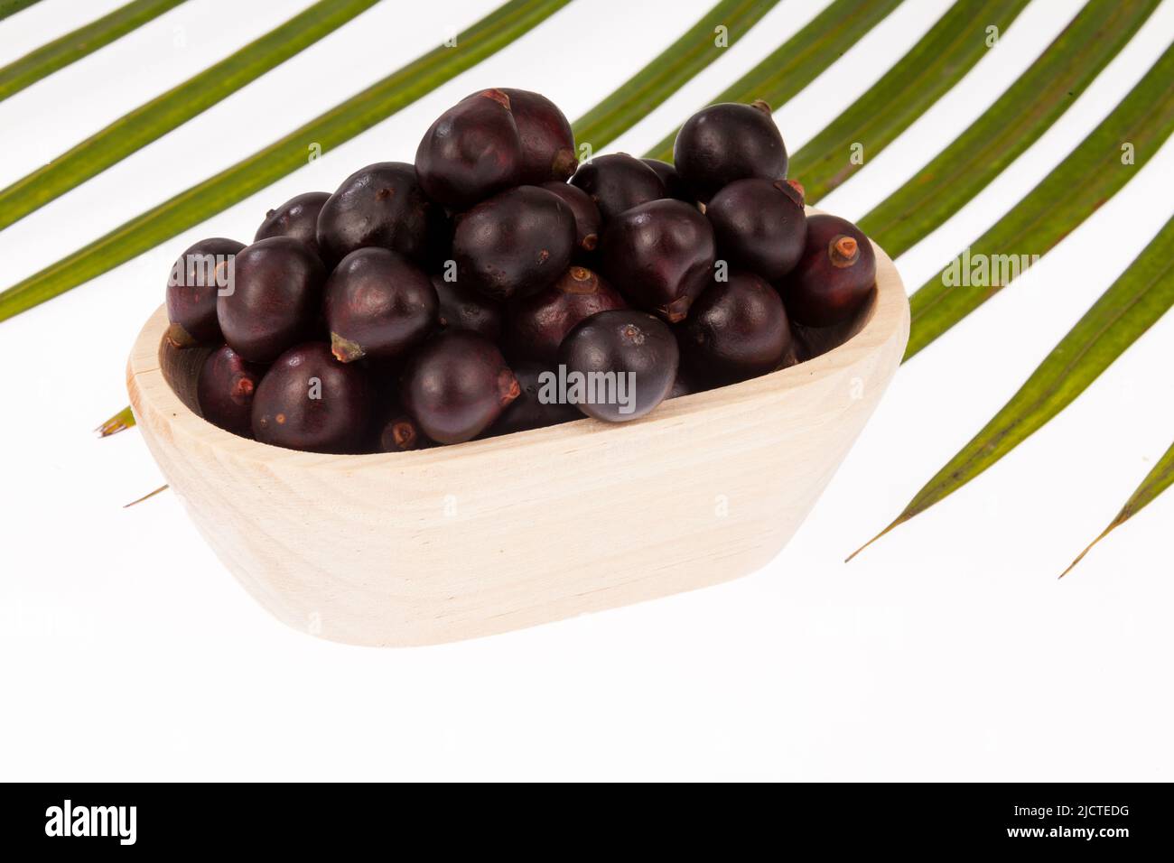 The amazon acai fruit (Euterpe oleracea Stock Photo - Alamy