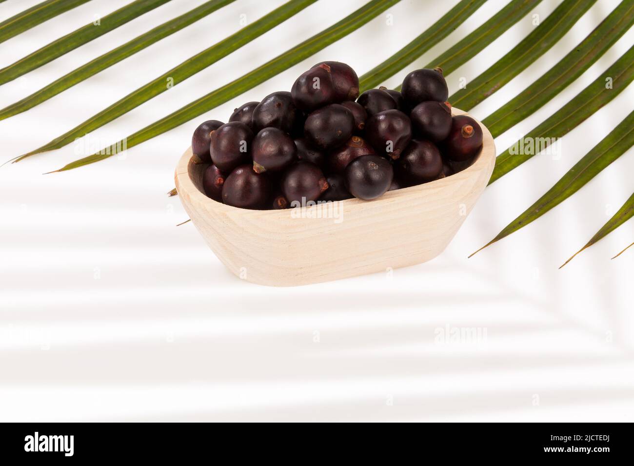The amazon acai fruit (Euterpe oleracea Stock Photo - Alamy