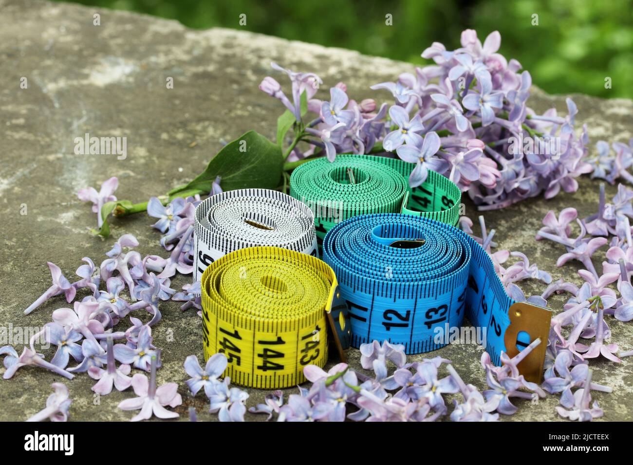 Bunch of lilac flowers with measure tape Stock Photo - Alamy