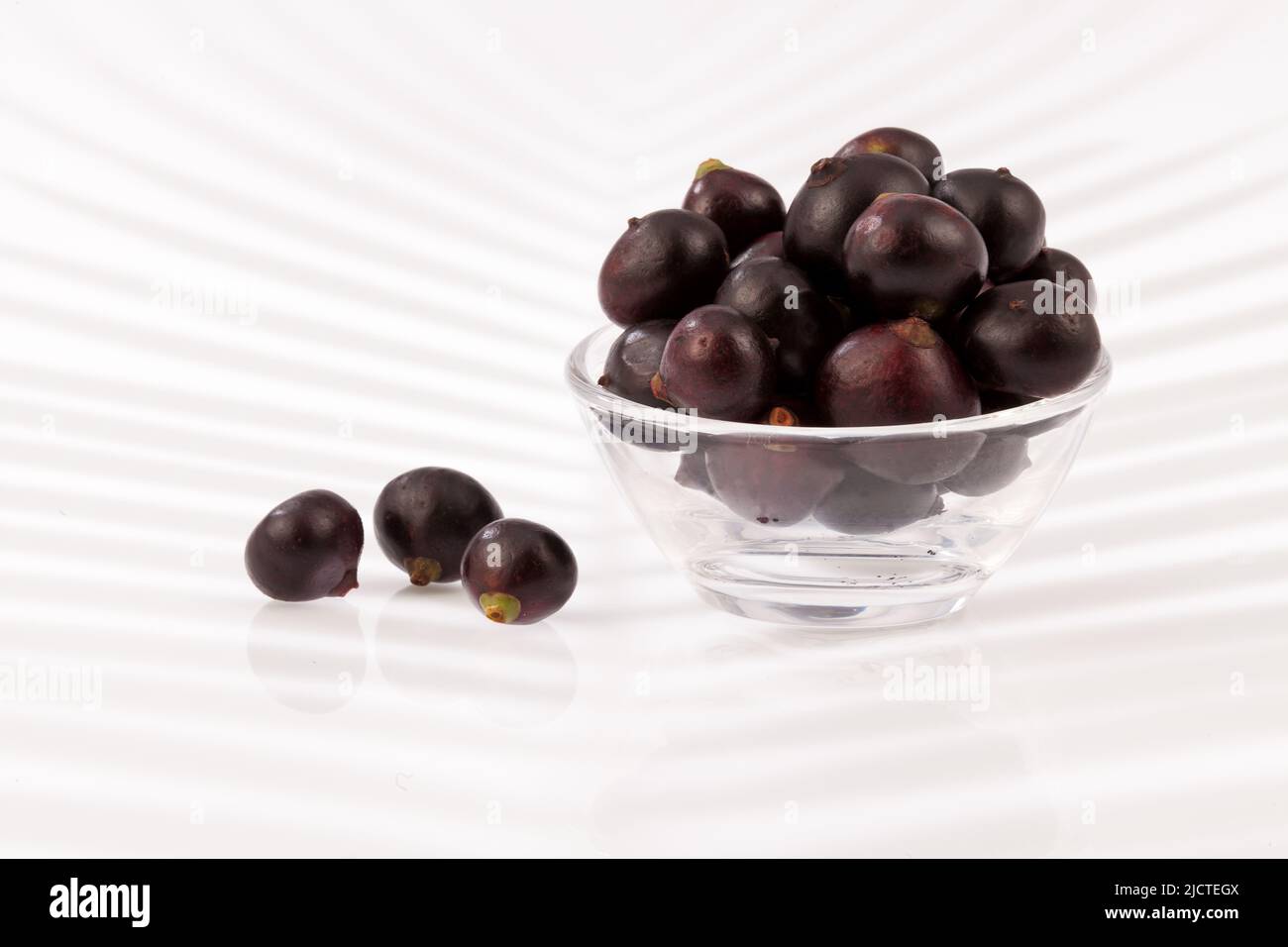 The amazon acai fruit (Euterpe oleracea Stock Photo - Alamy