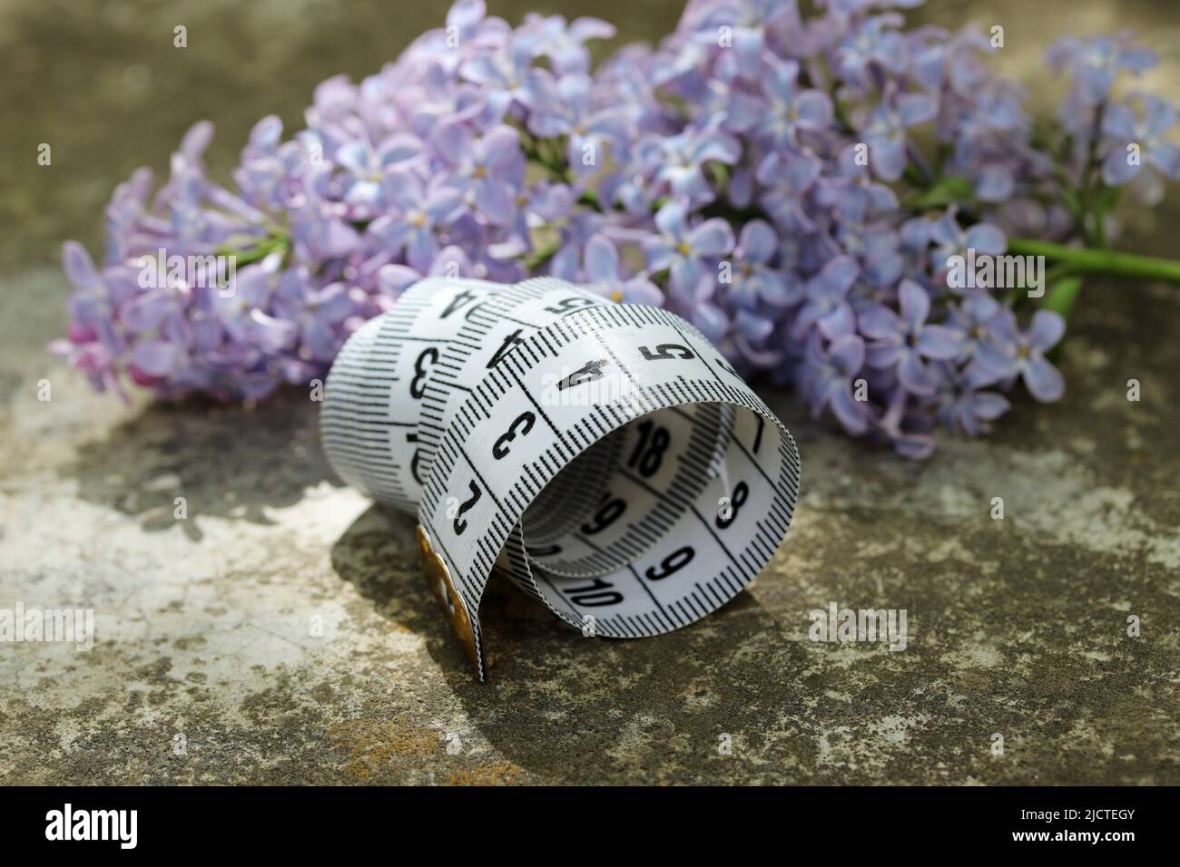 Plant tape measure hi-res stock photography and images - Alamy
