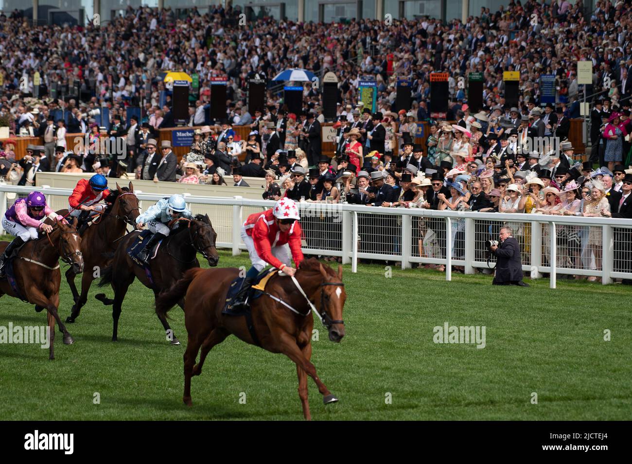 Jane chapple hyam hi-res stock photography and images - Alamy