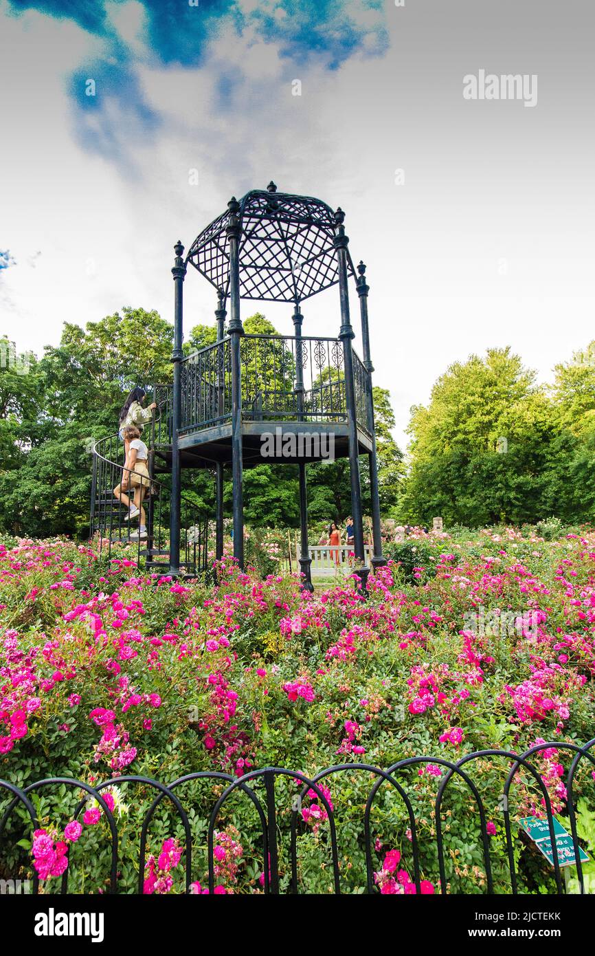 Park of Roses, Columbus, Ohio Stock Photo - Alamy