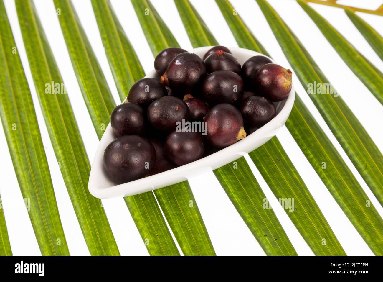 The amazon acai fruit (Euterpe oleracea Stock Photo - Alamy