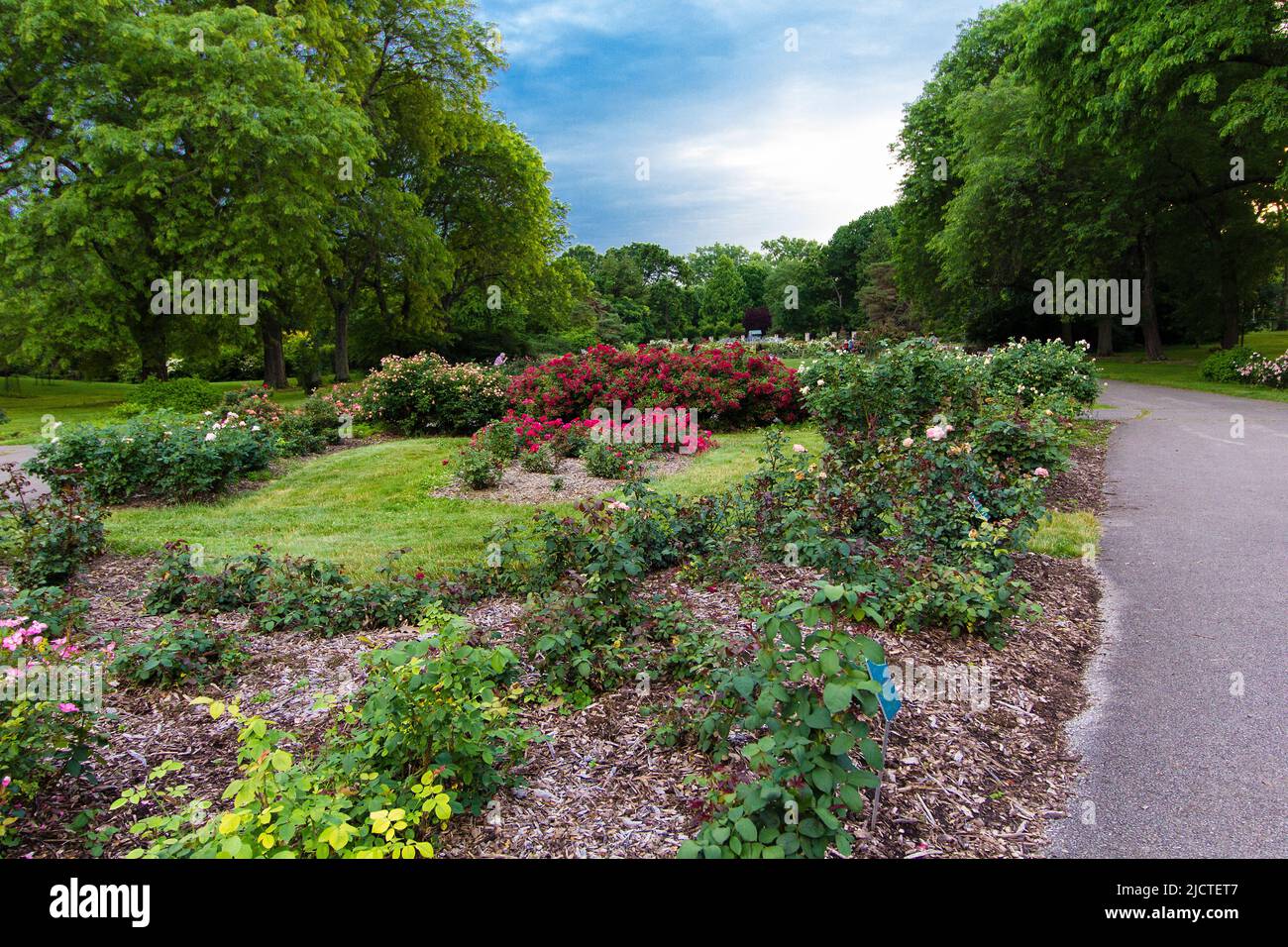 Park of Roses, Columbus, Ohio Stock Photo - Alamy
