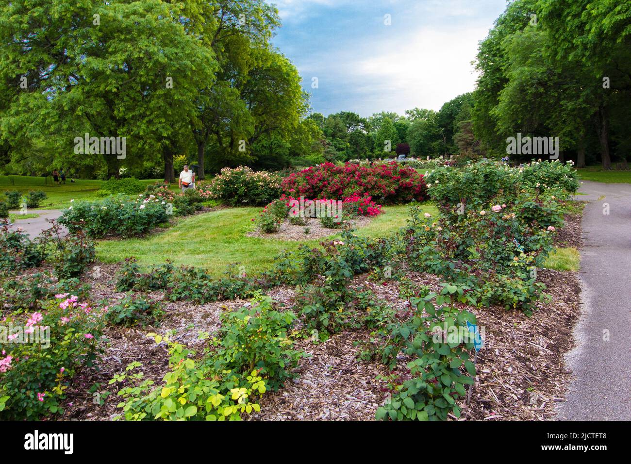 Park of Roses, Columbus, Ohio Stock Photo - Alamy