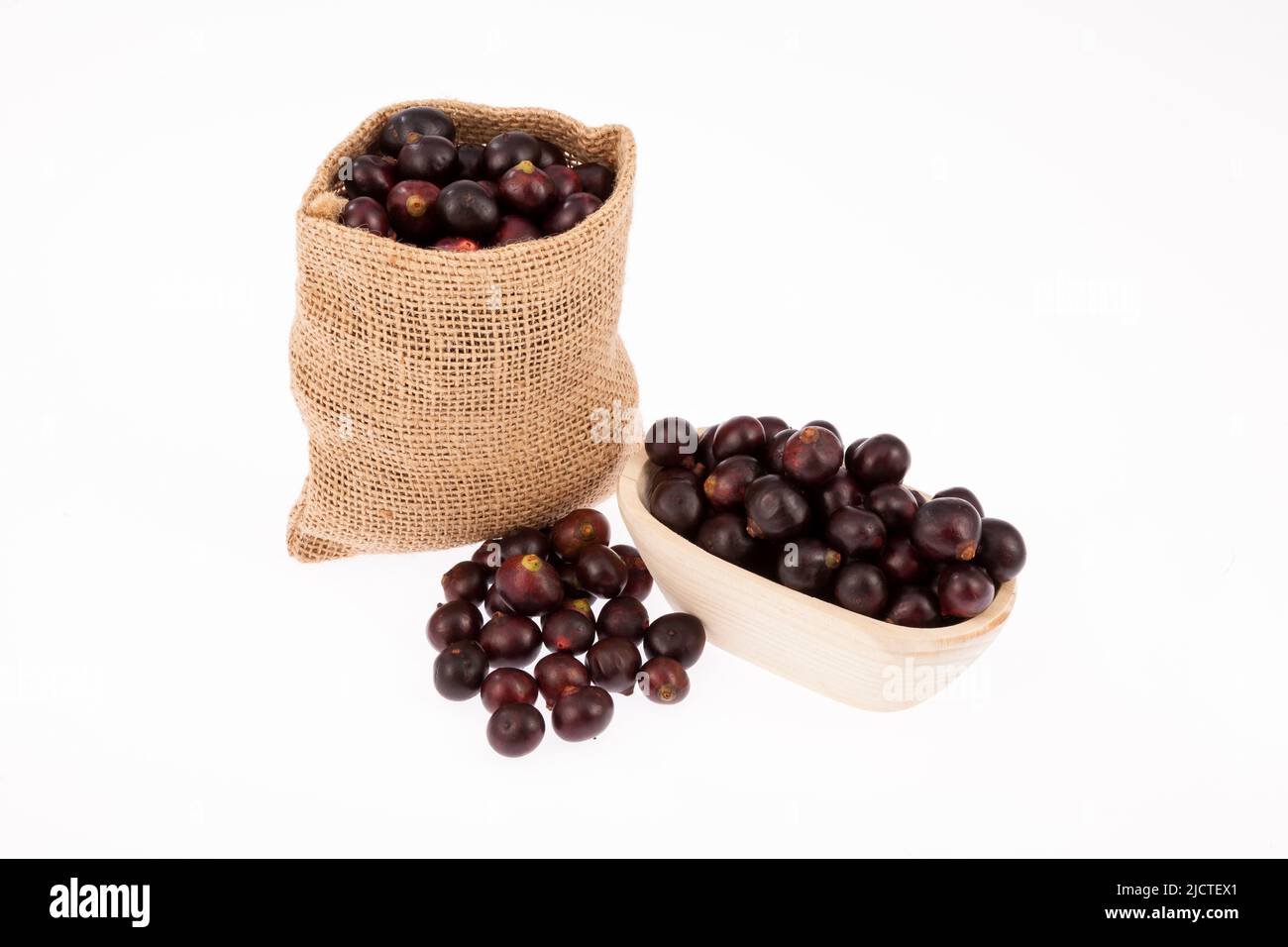The amazon acai fruit (Euterpe oleracea Stock Photo - Alamy