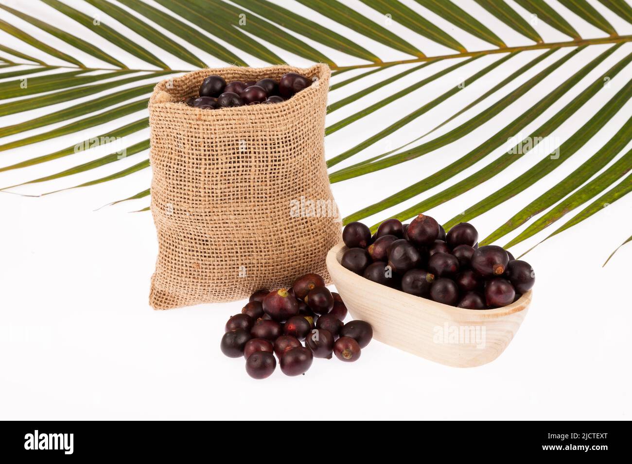 The amazon acai fruit (Euterpe oleracea Stock Photo - Alamy