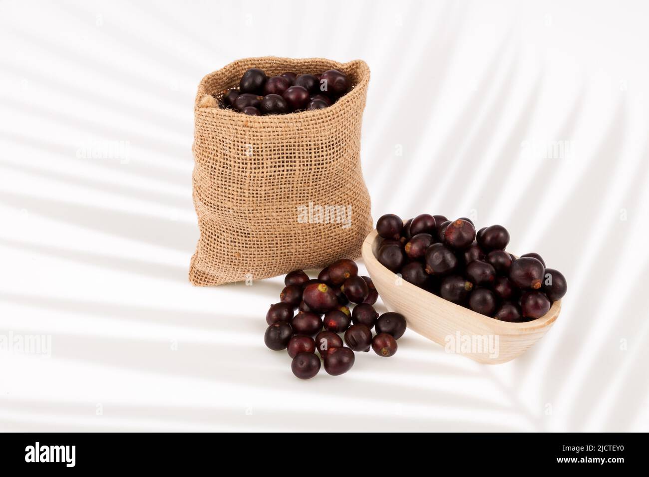 The amazon acai fruit (Euterpe oleracea Stock Photo - Alamy