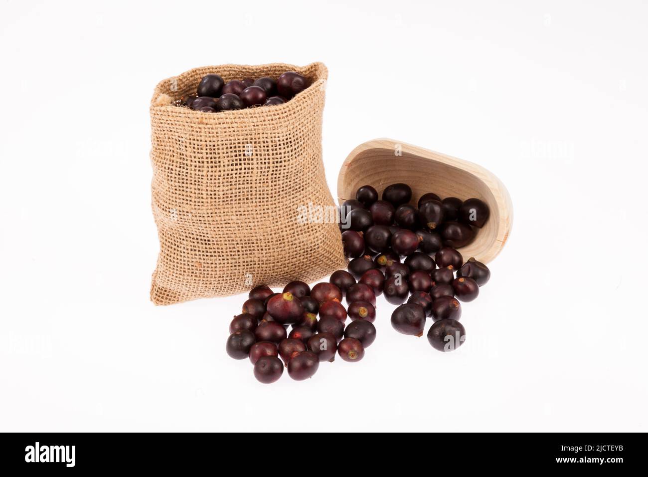 The amazon acai fruit (Euterpe oleracea Stock Photo - Alamy