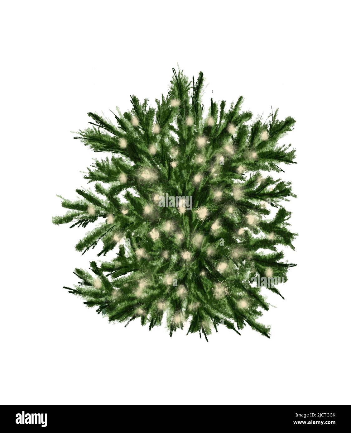 Evergreen pine tree in rustic pot with christmas lights,pine cone ...