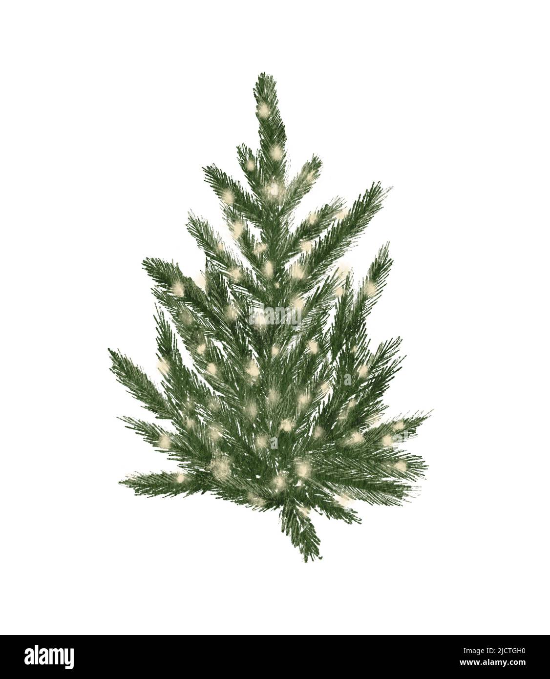 Evergreen pine tree in rustic pot with christmas lights,pine cone ...