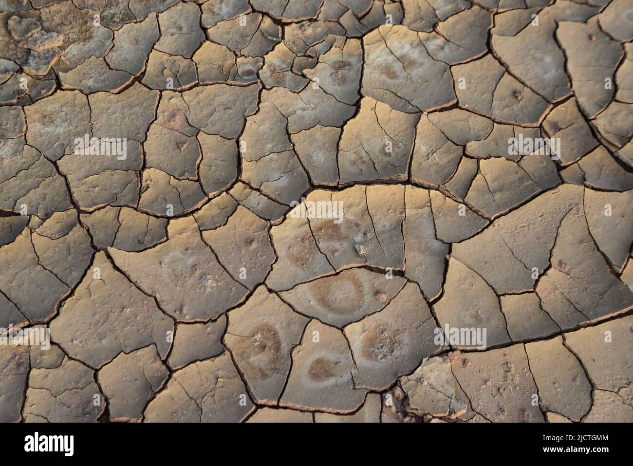 Cracked red clay and white salt on the surface in a dried riverbed in ...