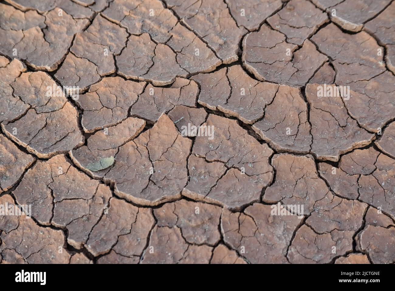Cracked red clay and white salt on the surface in a dried riverbed in ...