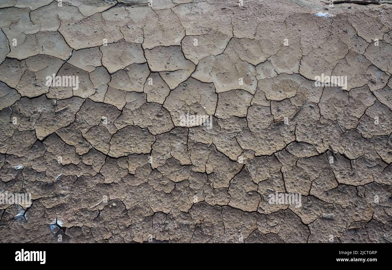 Cracked red clay and white salt on the surface in a dried riverbed in ...