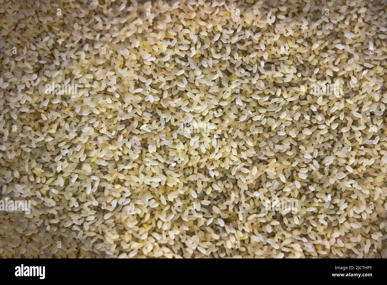 Rice background. Varieties of Sri Lankan rice Stock Photo - Alamy