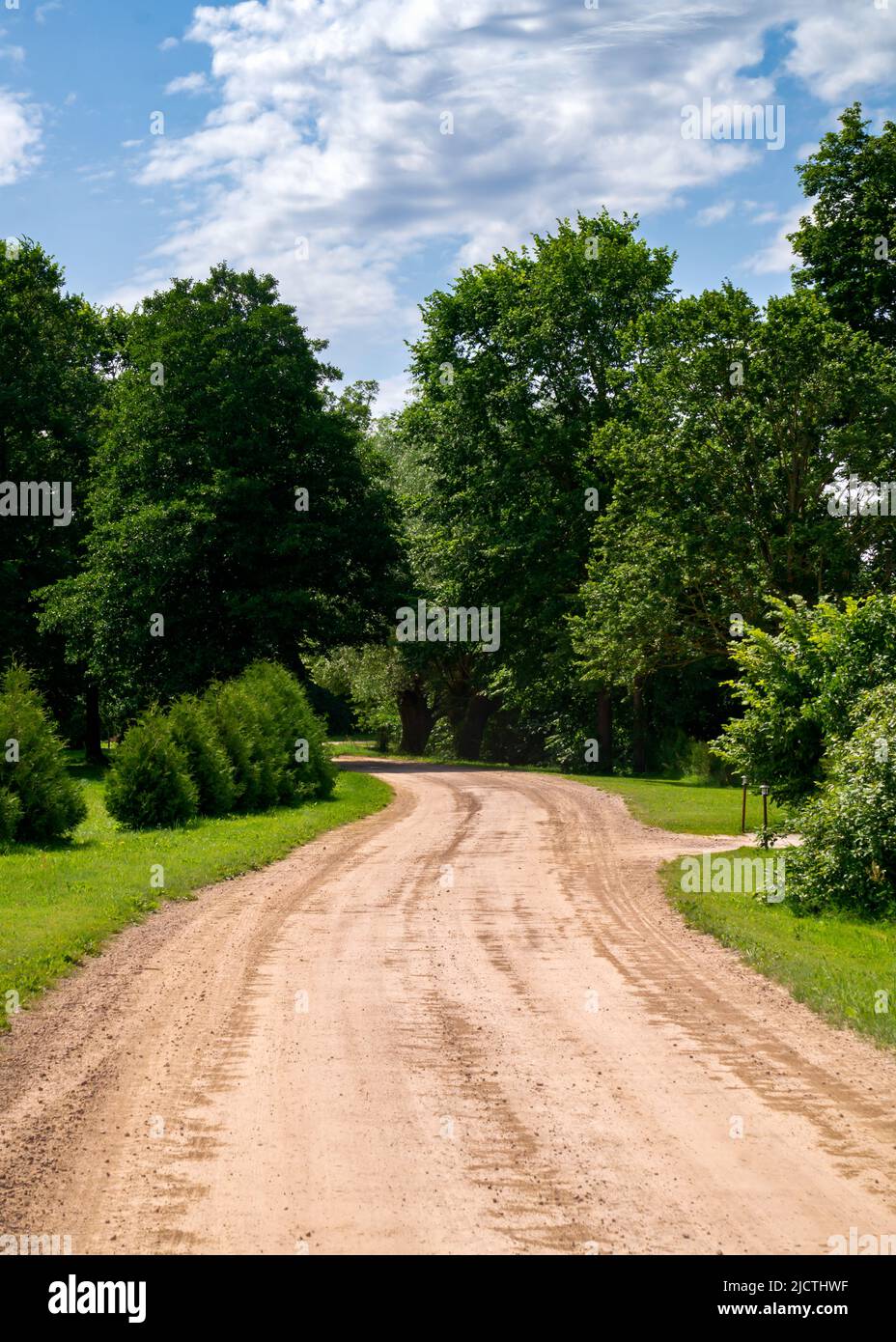 Rural road without asphalt surrounded by green trees Stock Photo - Alamy