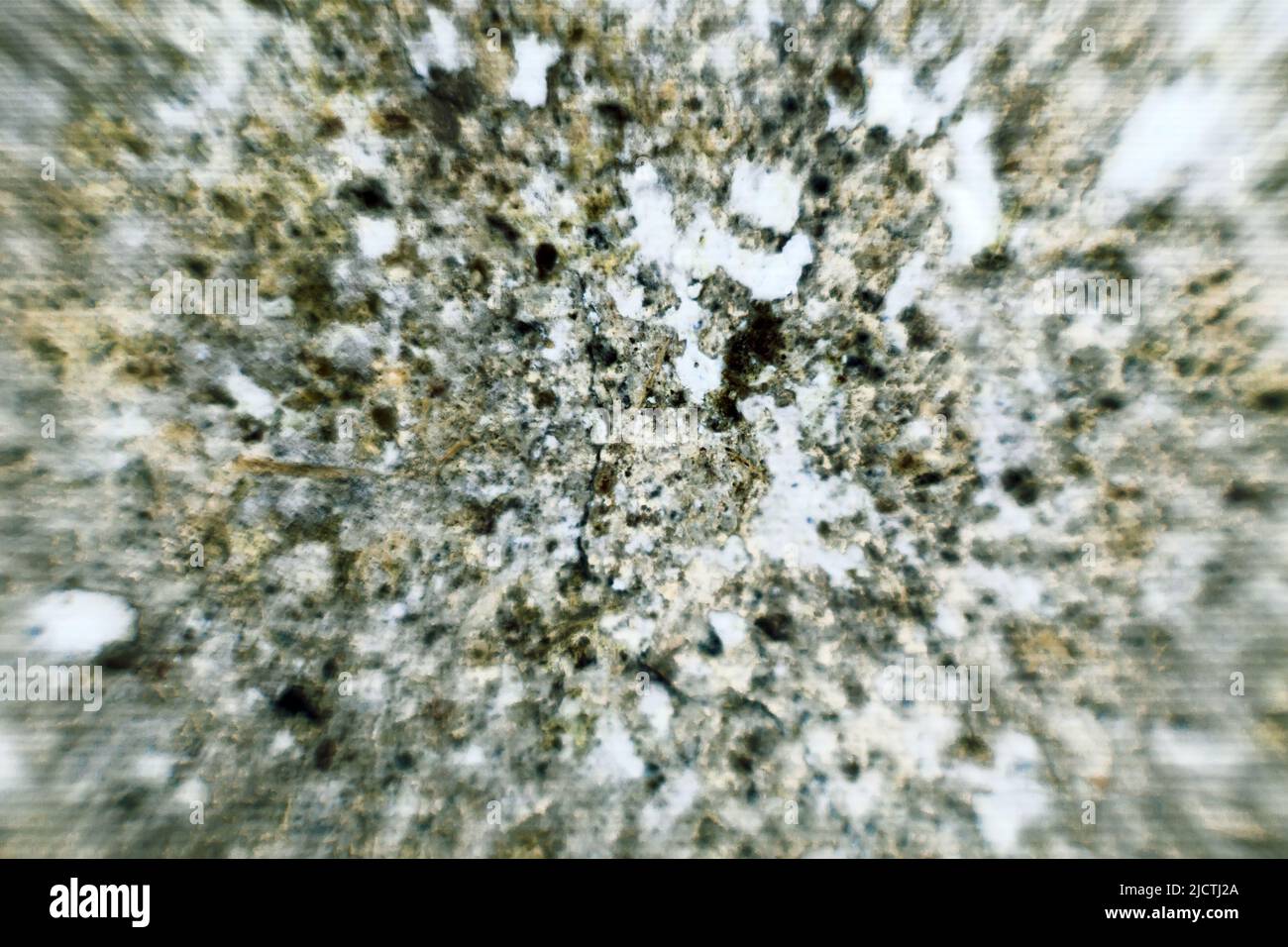 Old plastered wall with mildew stains and loose whitewash, cracks in ...