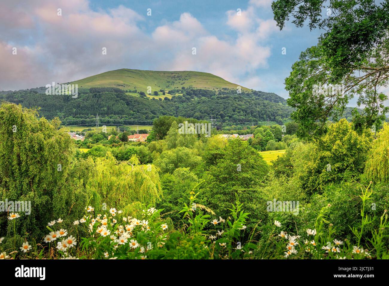 Abergavenny castle gardens hi-res stock photography and images - Alamy