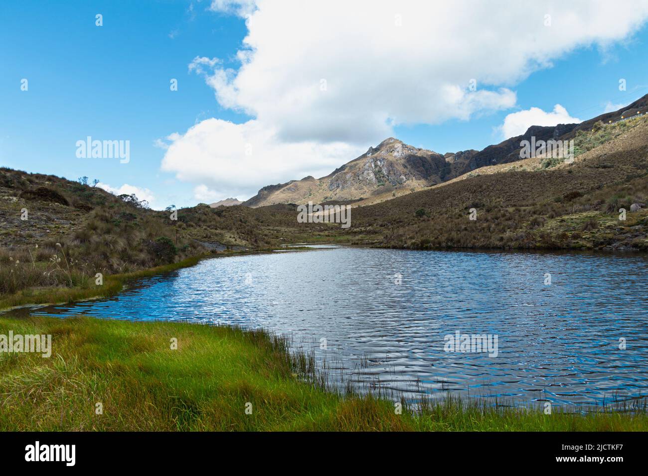 The mountain lake in Cajas National Park on sunny day, Toreadora ...