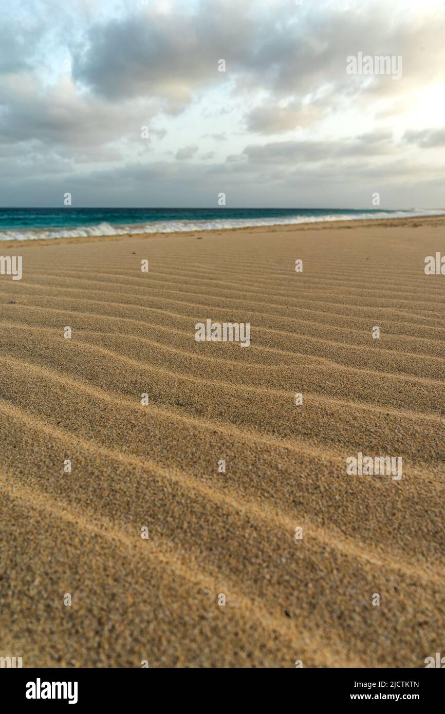 shells on the beach with black rocks Stock Photo - Alamy