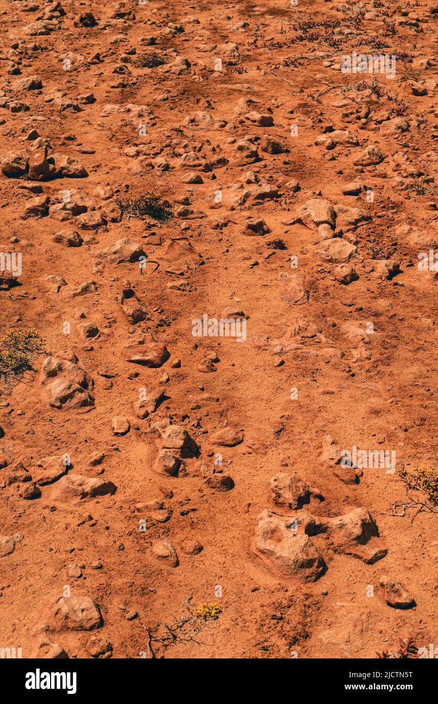 shells on the beach with black rocks Stock Photo - Alamy