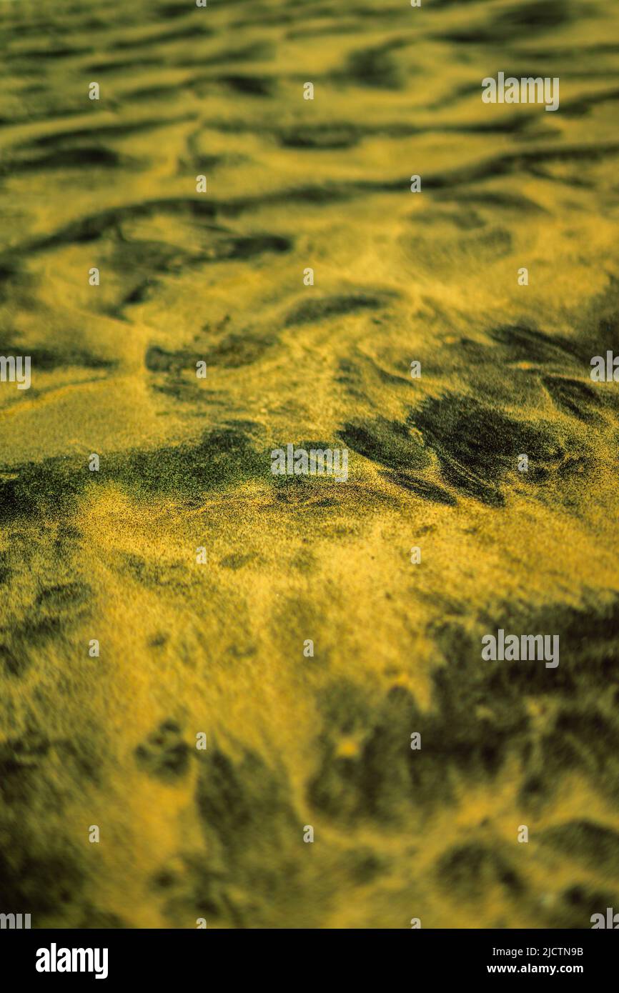 Beach pebbles rocks shells hi-res stock photography and images - Alamy