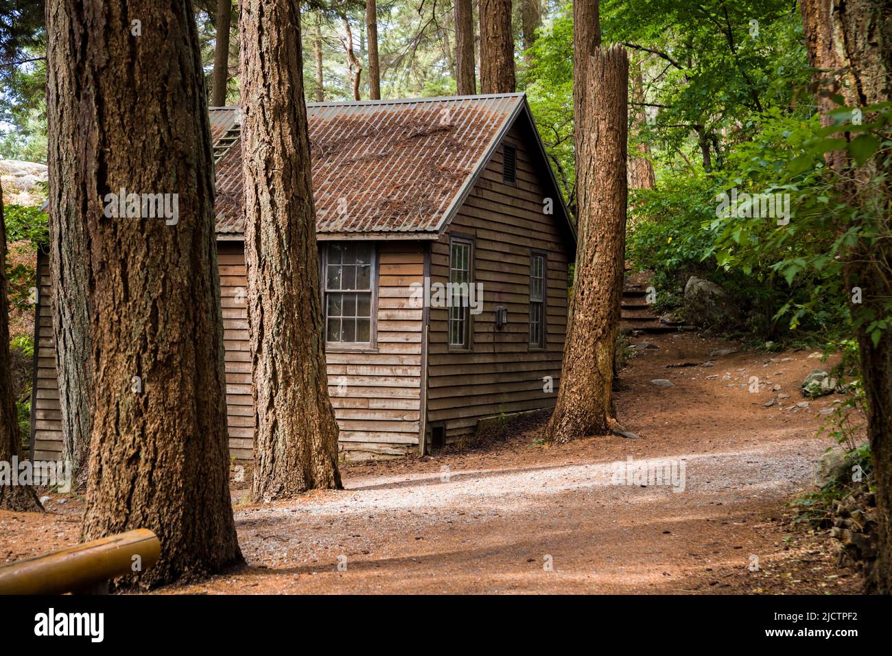 House in forest hi-res stock photography and images - Alamy