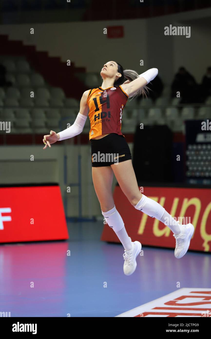 Carutasu alexia hi-res stock photography and images - Alamy