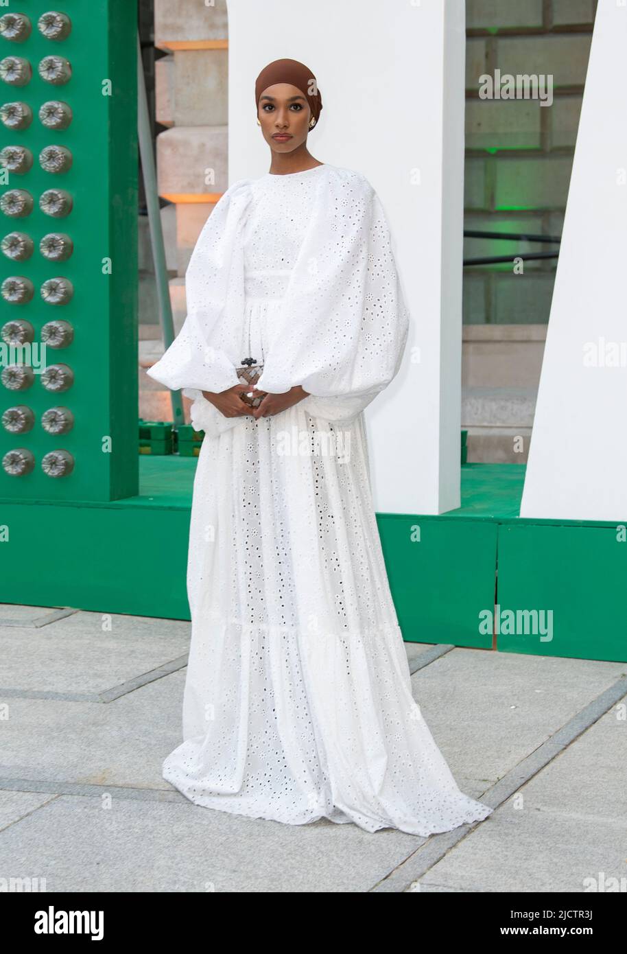 Ikram Abdi Omar attends The Royal Academy of Arts summer preview party ...