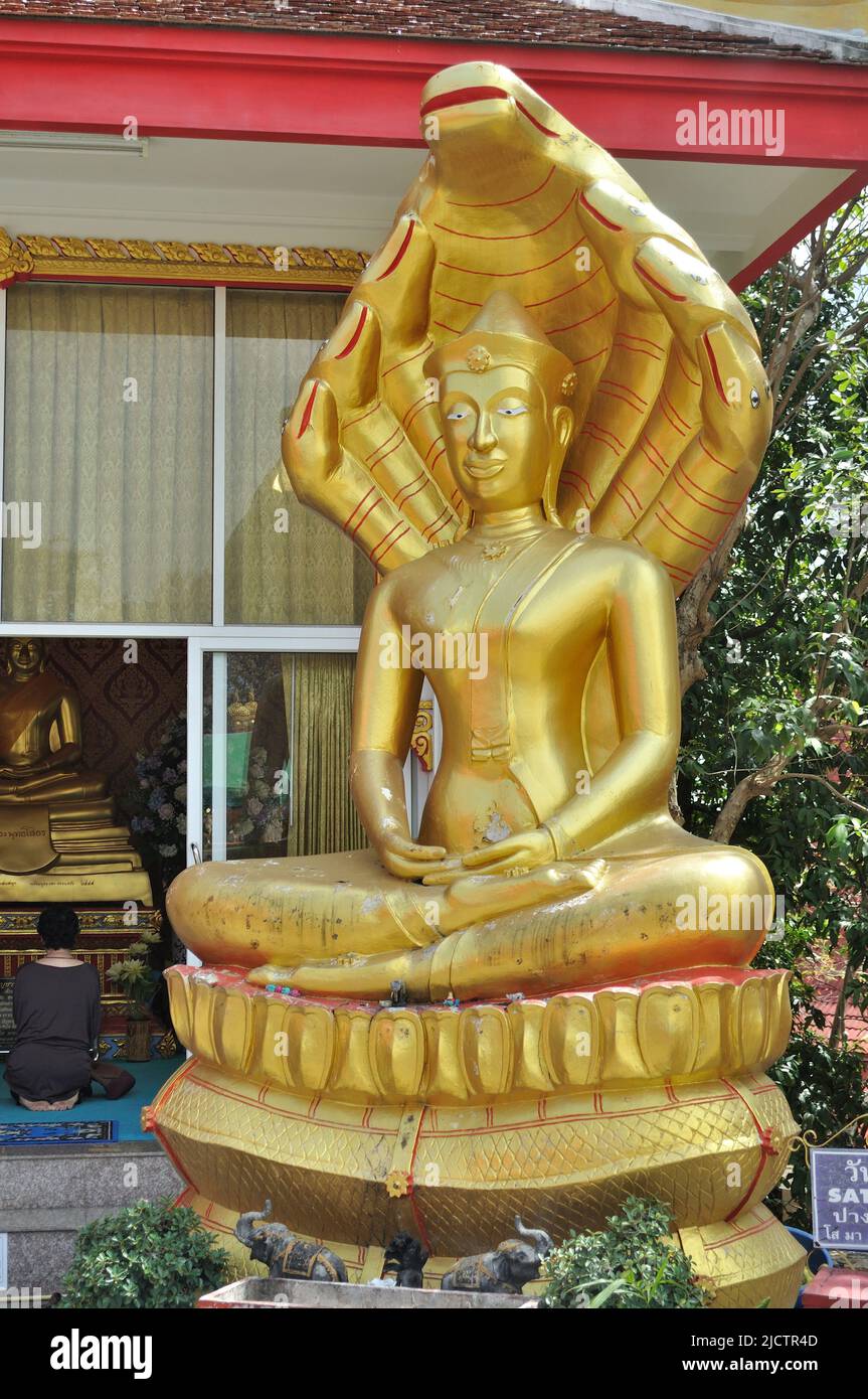 Statue semi-divine deities Naga - protecting Buddhist temple Stock ...