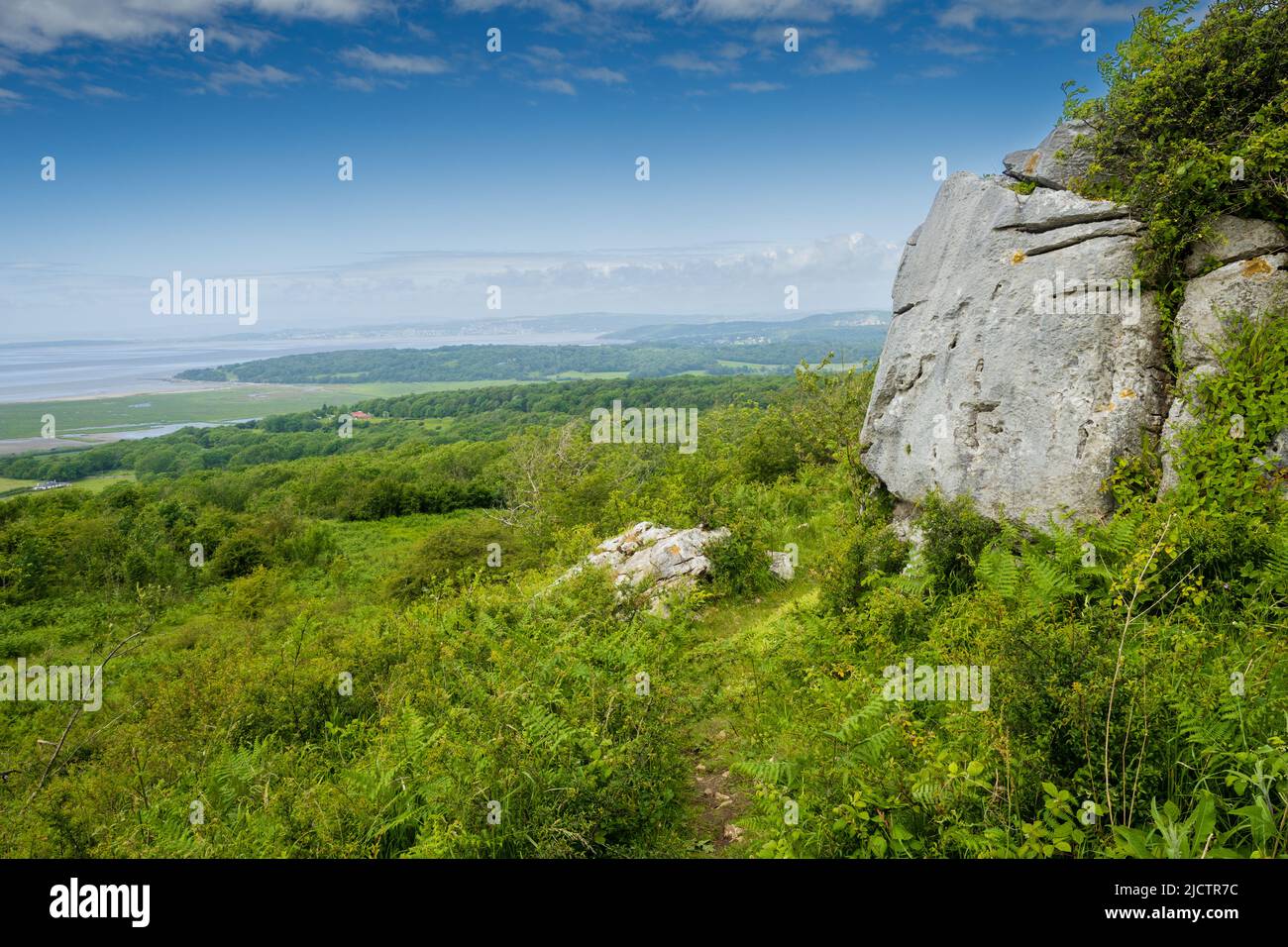 Warton school hi-res stock photography and images - Alamy