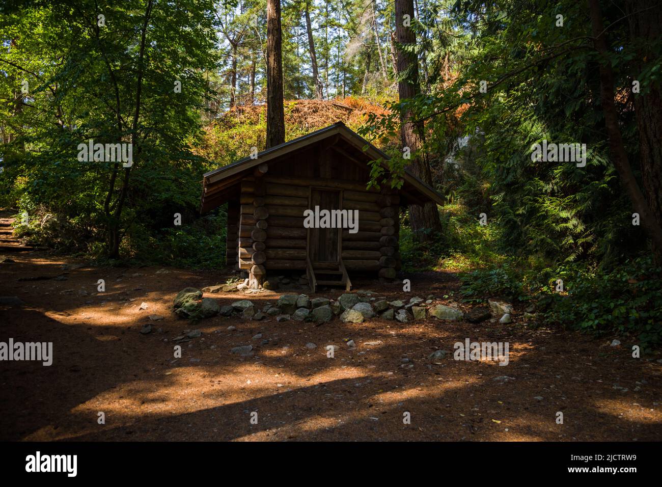 Wood cabin in forest. Vintage house with stairs and nature path Stock ...