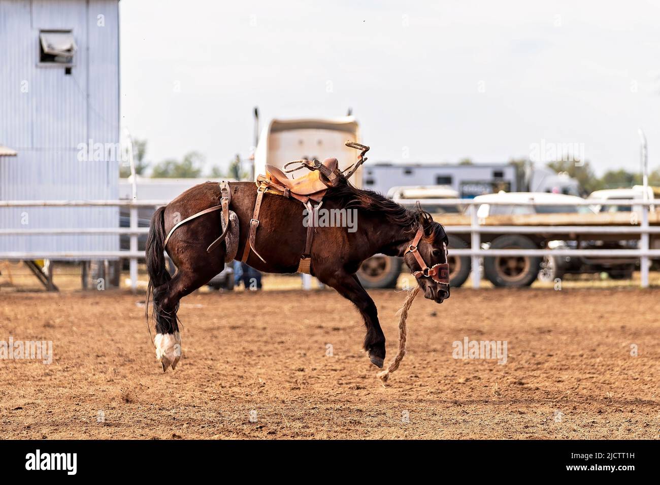 Cowboy riding a bucking bronc at a country rodeo Australia Stock Photo ...