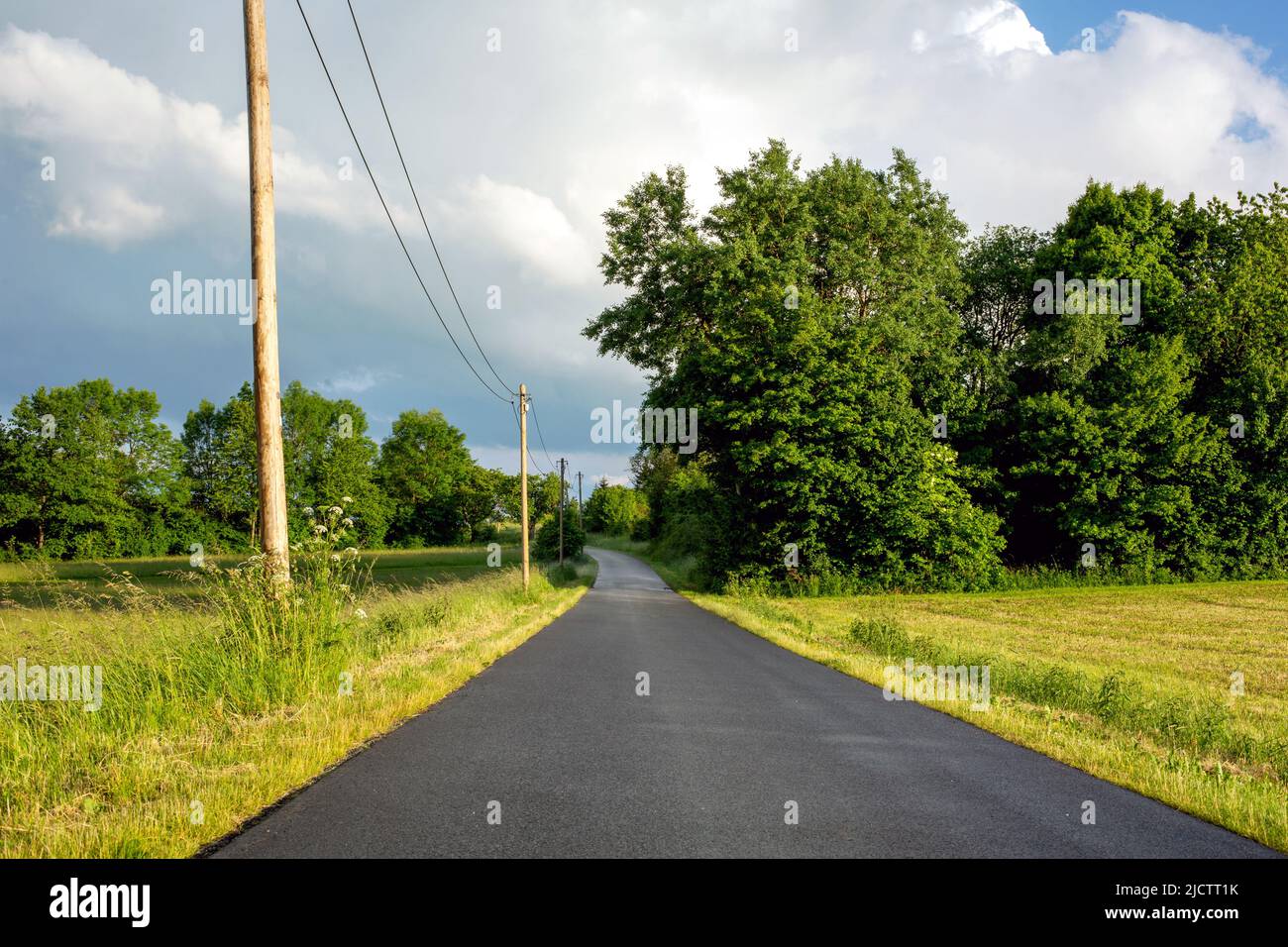 small road on the countryside with field and trees Stock Photo - Alamy