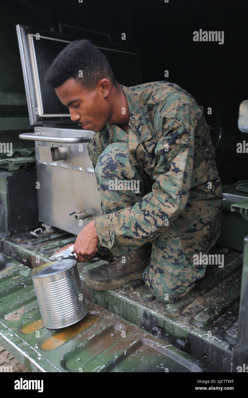 A U.S. Marine with 1st Battalion, 8th Marine Regiment, 2D Marine ...