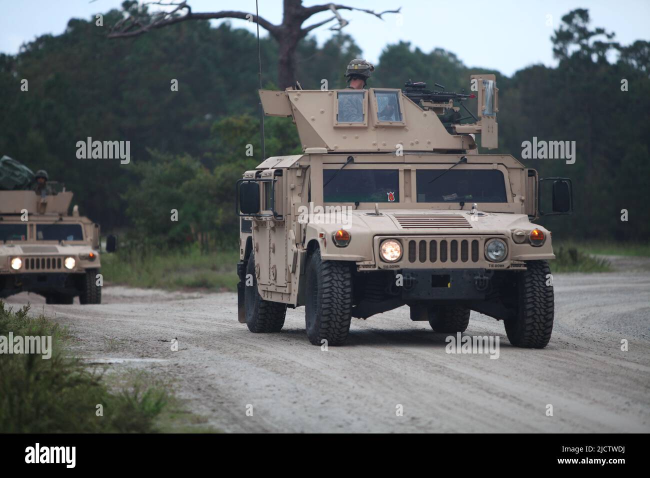 Lz oriole hi-res stock photography and images - Alamy