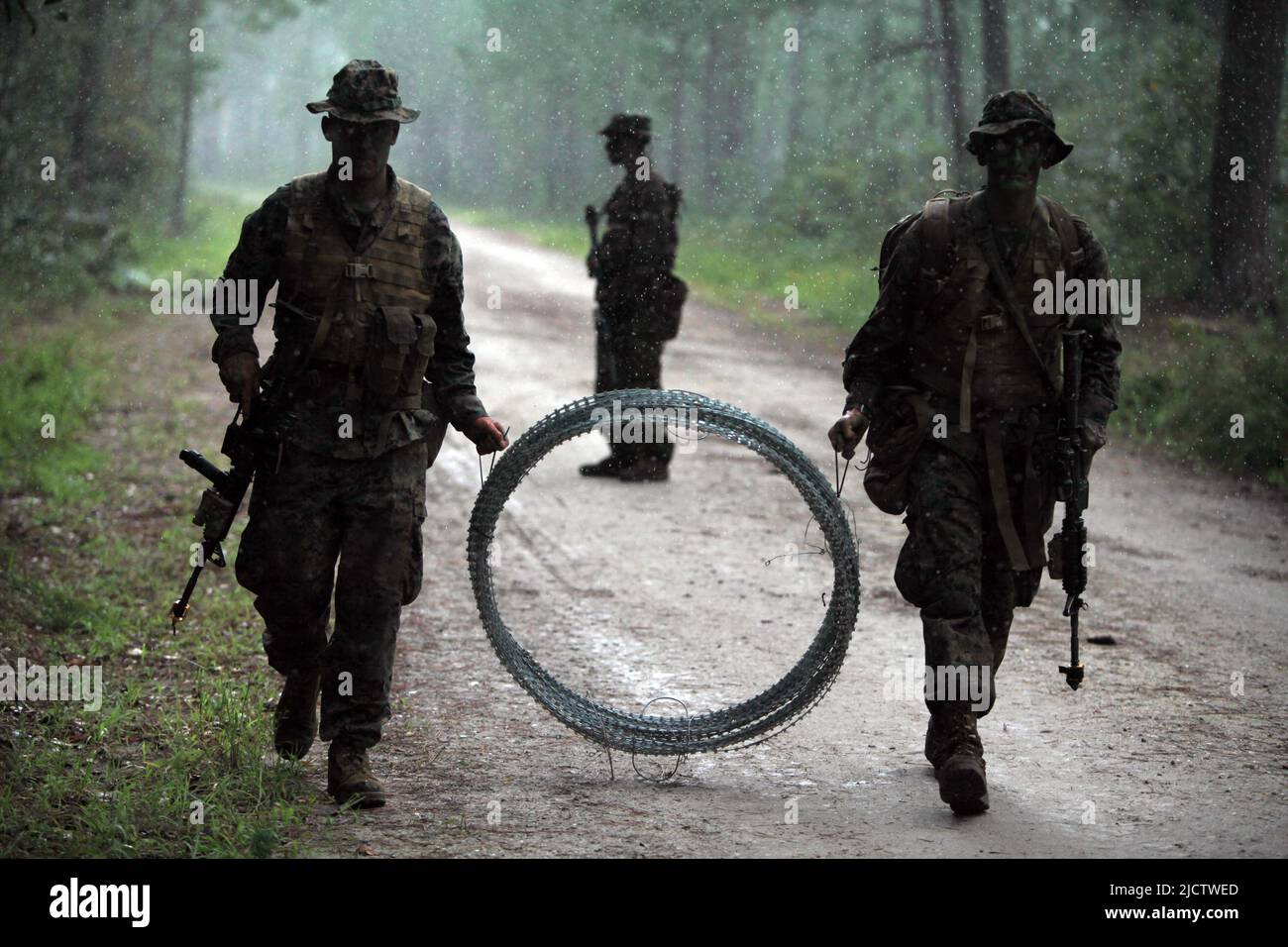 Lz oriole hi-res stock photography and images - Alamy