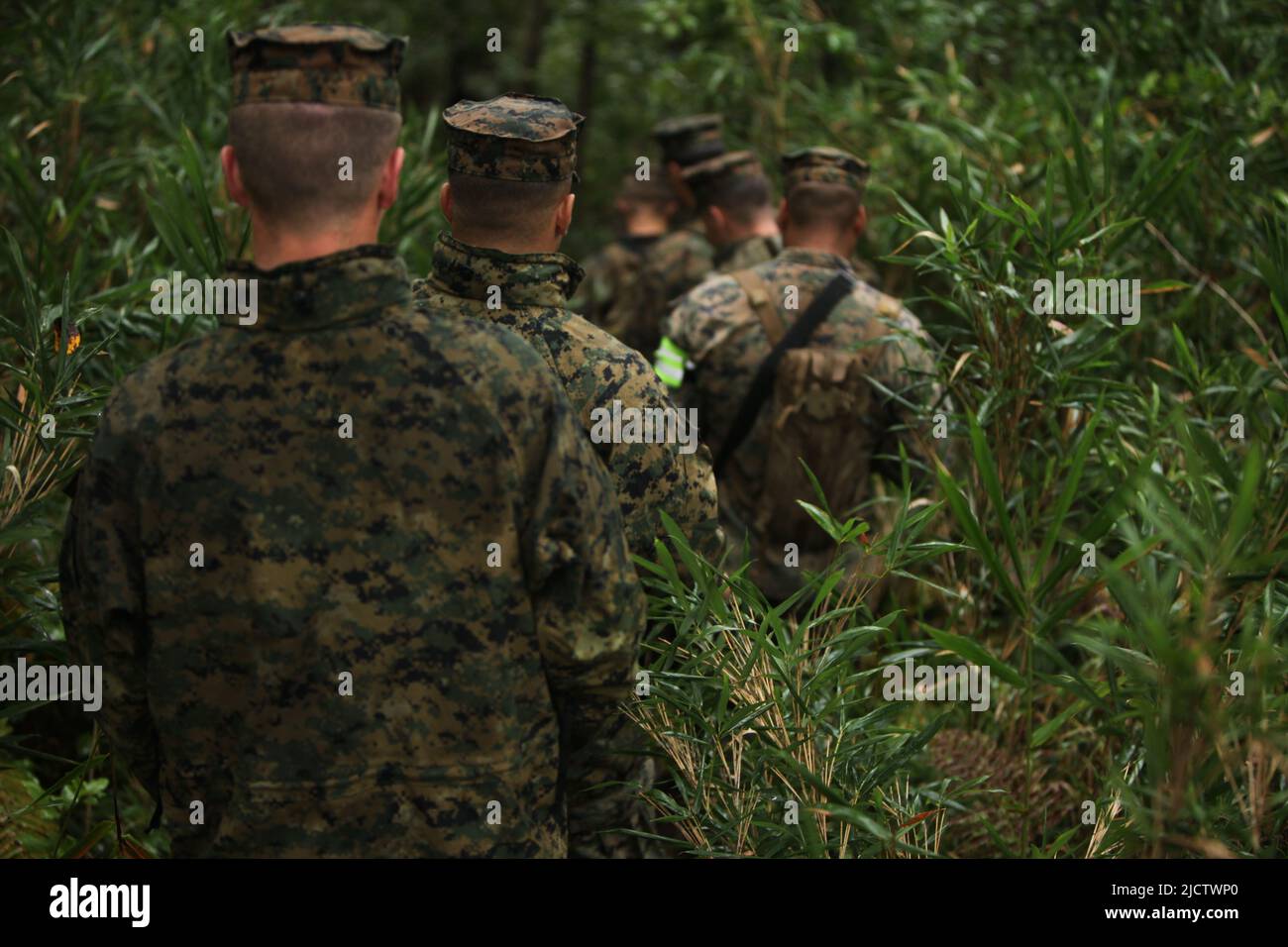 U.S. Marines with Charlie Company, 1st Battalion, 8th Marine Regiment ...