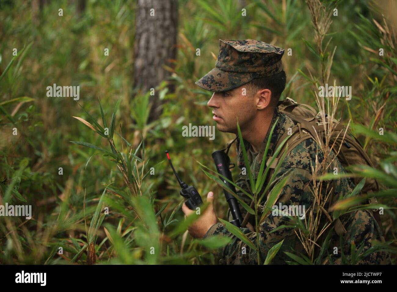 A U.S. Marine with Charlie Company, 1st Battalion, 8th Marine Regiment ...