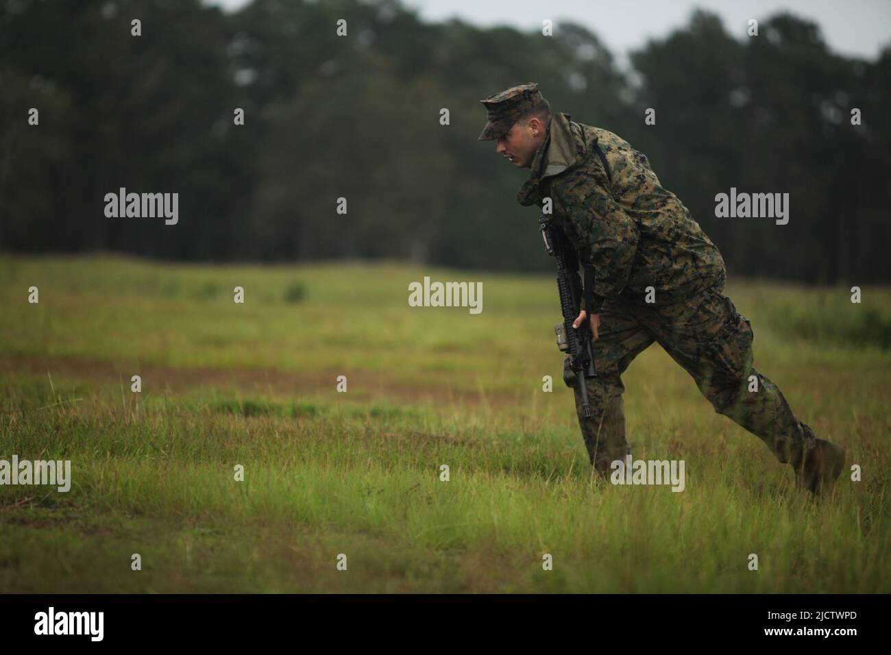 A U.S. Marine with Charlie Company, 1st Battalion, 8th Marine Regiment ...