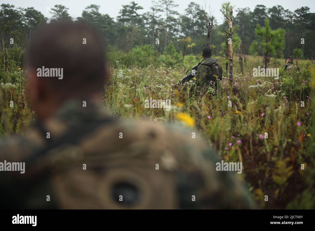 U.S. Marines with Charlie Company, 1st Battalion, 8th Marine Regiment (1/8), 2D Marine Division ...