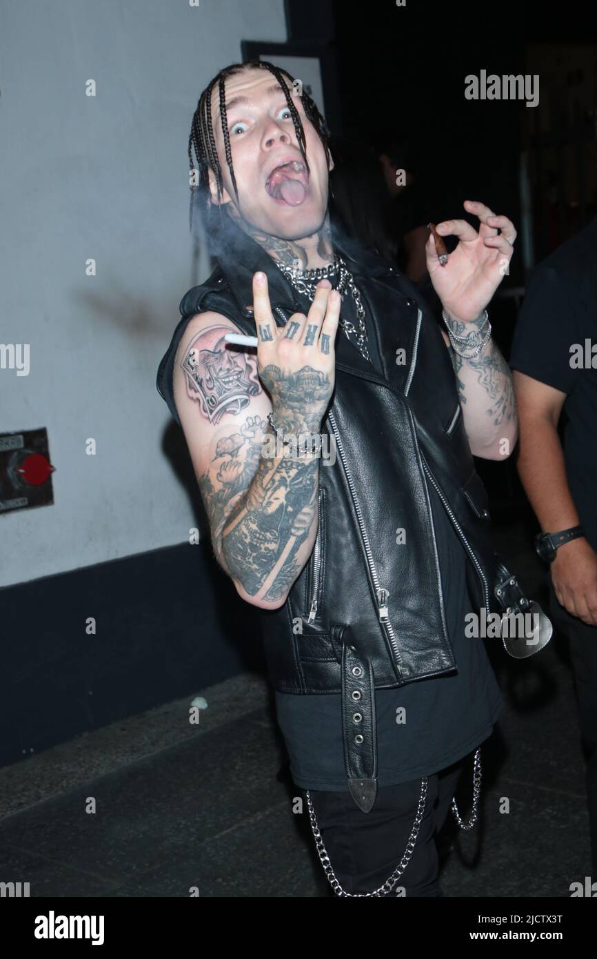 Celebrities spotted out and about in Hollywood Featuring: Rook Where ...