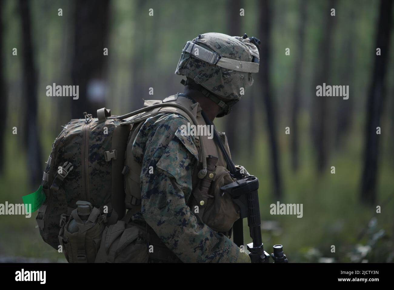 A U.S. Marine with Charlie Company, 1st Battalion, 8th Marine Regiment ...