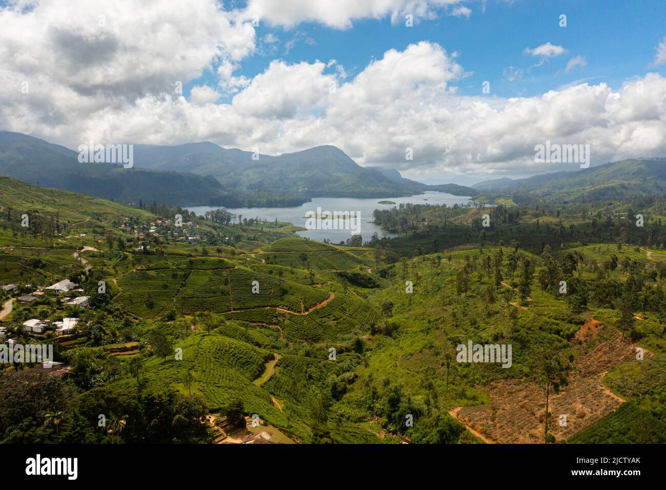 Tea plantation and Maskeliya Lake or Maussakelle reservoir near Nuwara ...