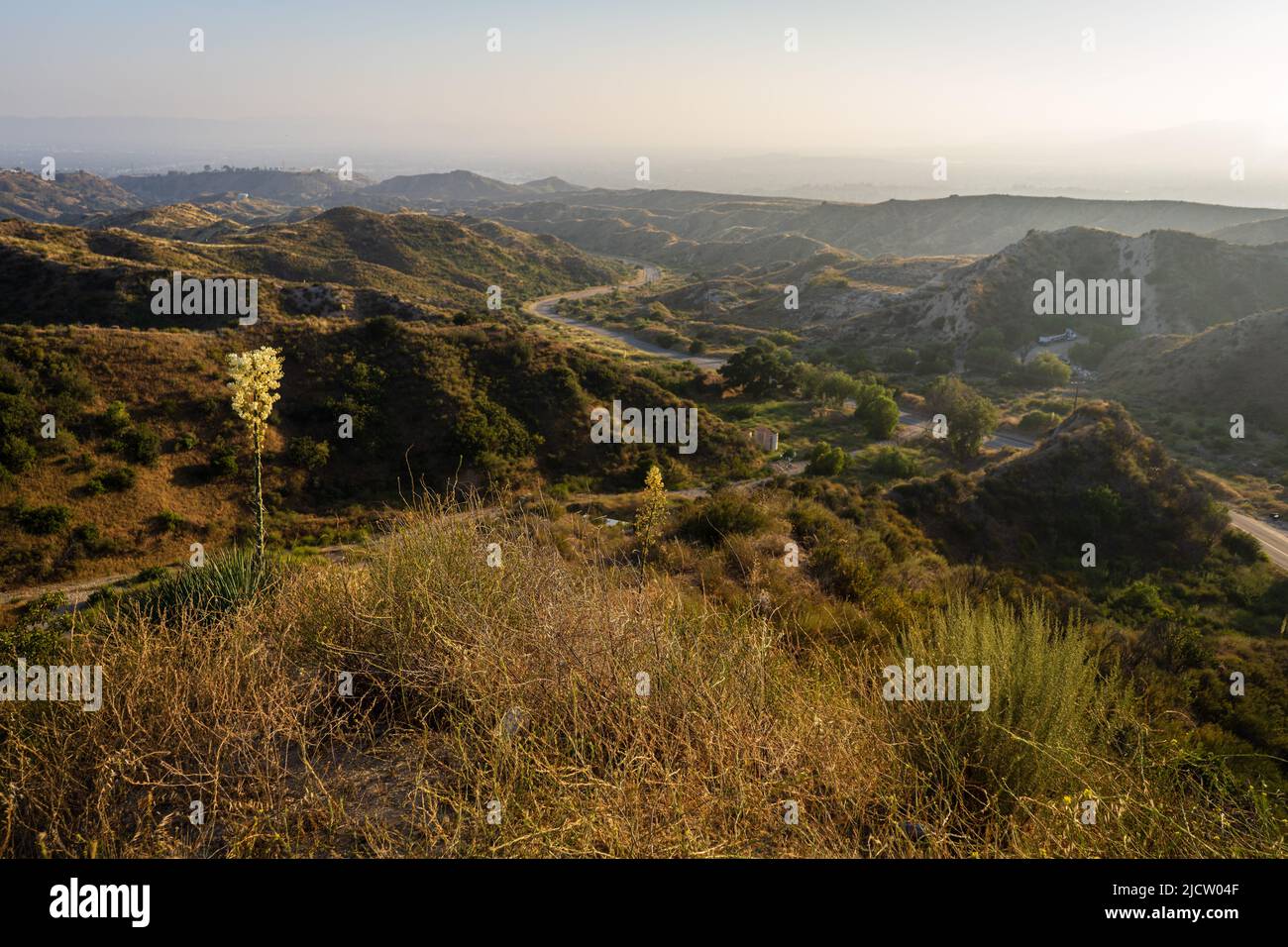 Lopez Canyon, Los Angeles Stock Photo - Alamy
