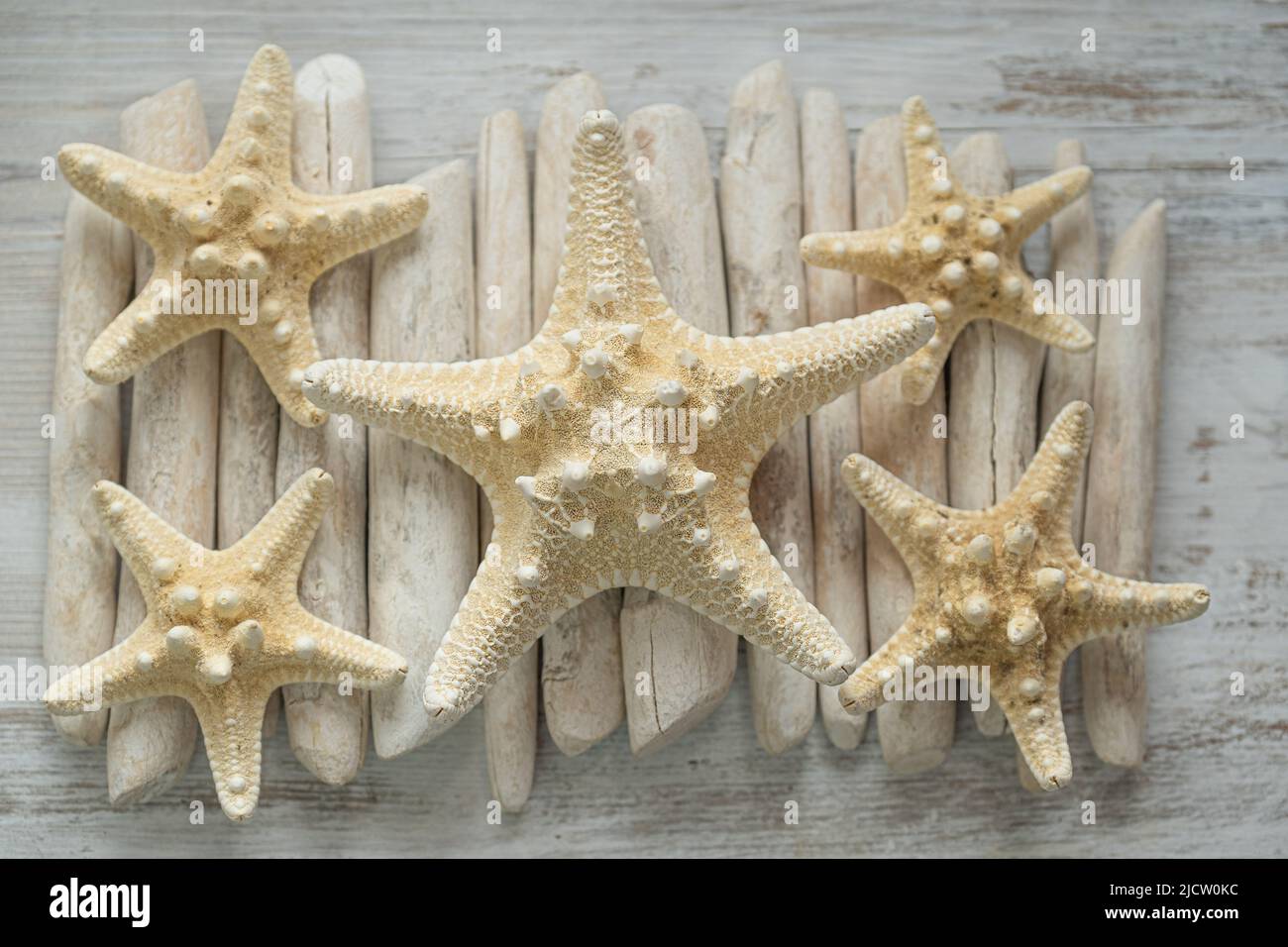 Marine wallpaper. Summer wallpaper in a marine style. Nautical beige ...