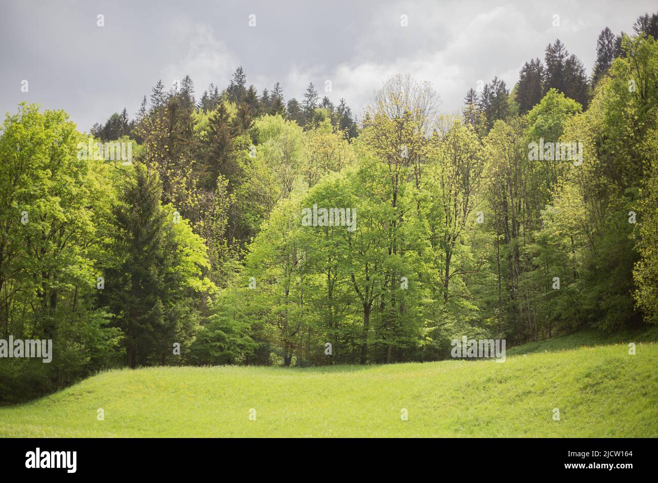 Garmisch Partenkirchen, Germany. 05th June, 2022. Hiking through the ...